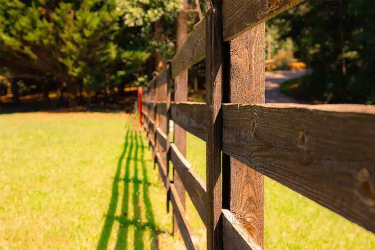 Wood Barrier for Garden: 5 Types & How to Use It?