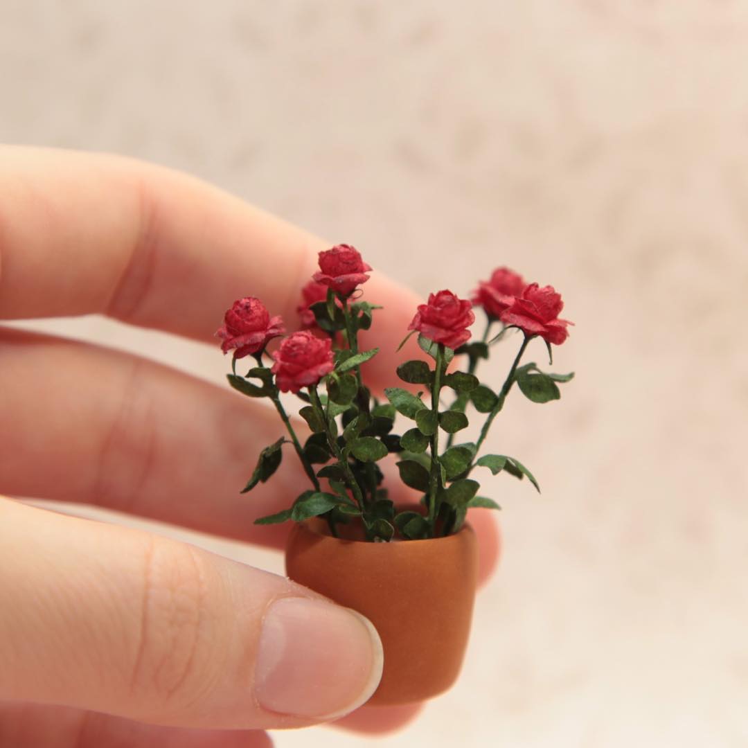 How to Take Care of Miniature Roses Indoors?