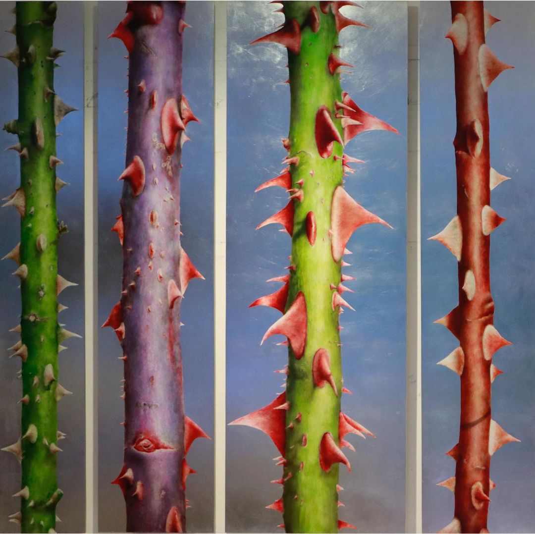 Brown Canker on Roses: Causes and Solutions!