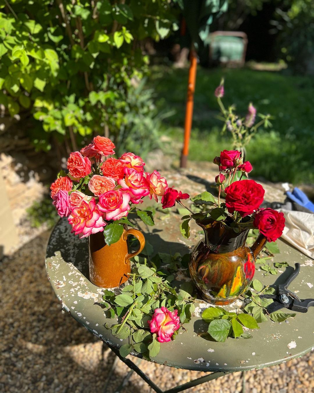 How To Keep Cut Roses Fresh and Won't Wilt