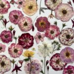 How To Press Roses: 4 Methods