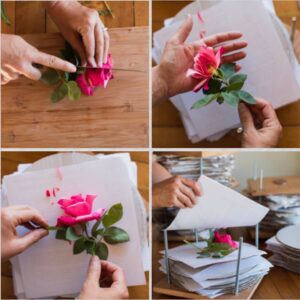 How To Press Roses: 4 Methods