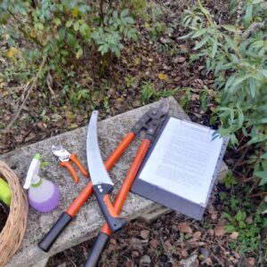 Crown Gall In Roses: How To Treat!