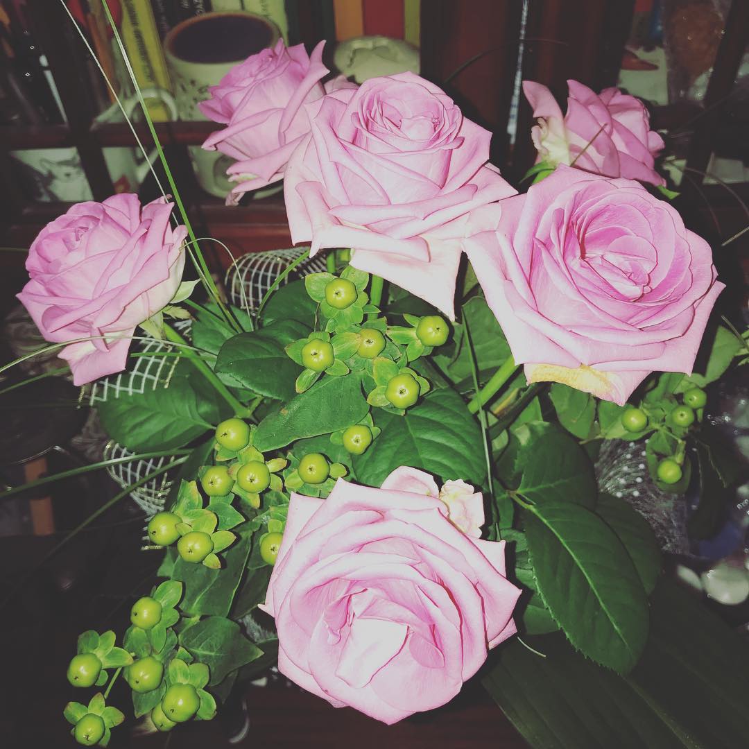 Smooth Touch Roses or Thornless Roses